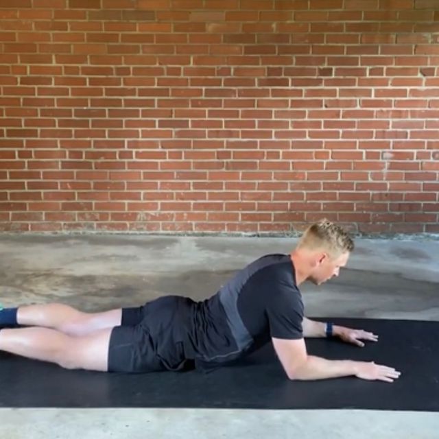 Sphinx Pose Reaches by Brian Fallon - Exercise How-to - Skimble