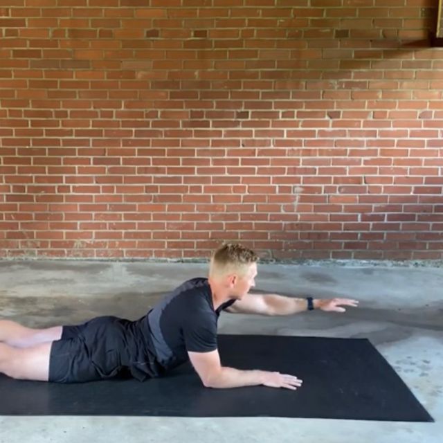 Sphinx Pose Reaches - Exercise How-to - Workout Trainer by Skimble