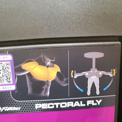 Seated Cable Leg Extensions by Bri Delvaux - Exercise How-to - Skimble