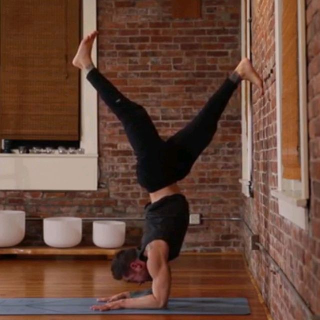 Forearm Stand Dolphin Push Ups by Alex 🌊. - Exercise How-to - Skimble