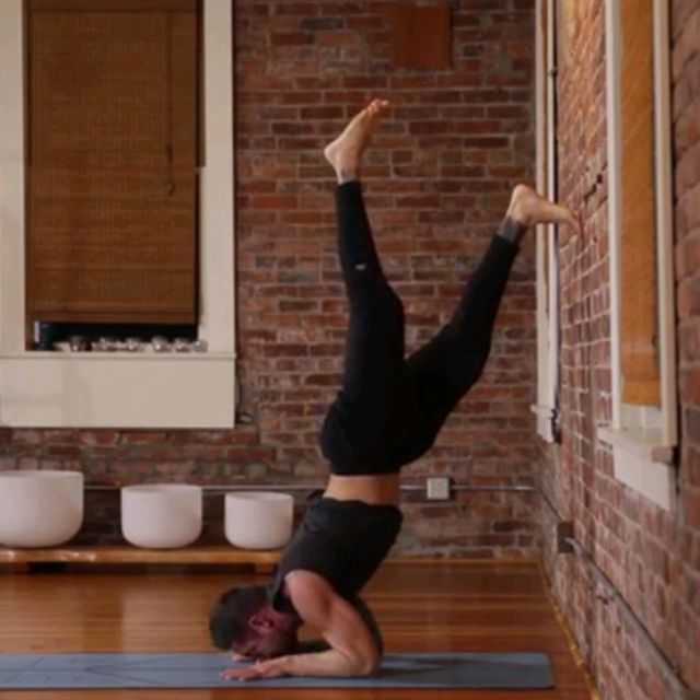 Forearm Stand Dolphin Push Ups by Alex 🌊. - Exercise How-to - Skimble