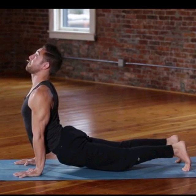Plank Pose To Modified Up Dog by Alex 🌊. - Exercise How-to - Skimble