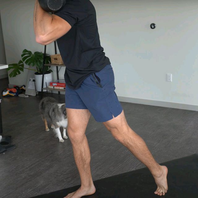 Right Split Squat With Rotation - Exercise How-to - Workout Trainer by ...