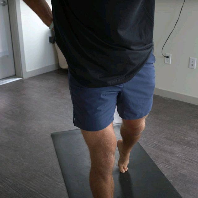 Right Split Squat With Rotation - Exercise How-to - Workout Trainer by ...