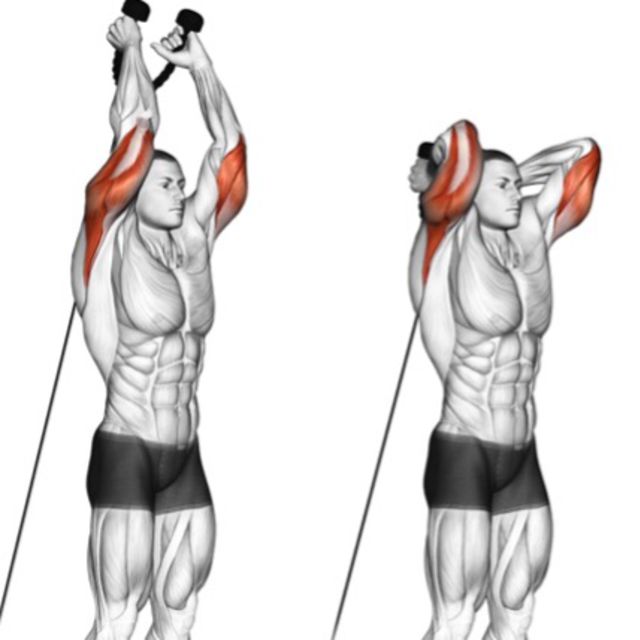 Cable Tri Extention - Left - Exercise How-to - Skimble