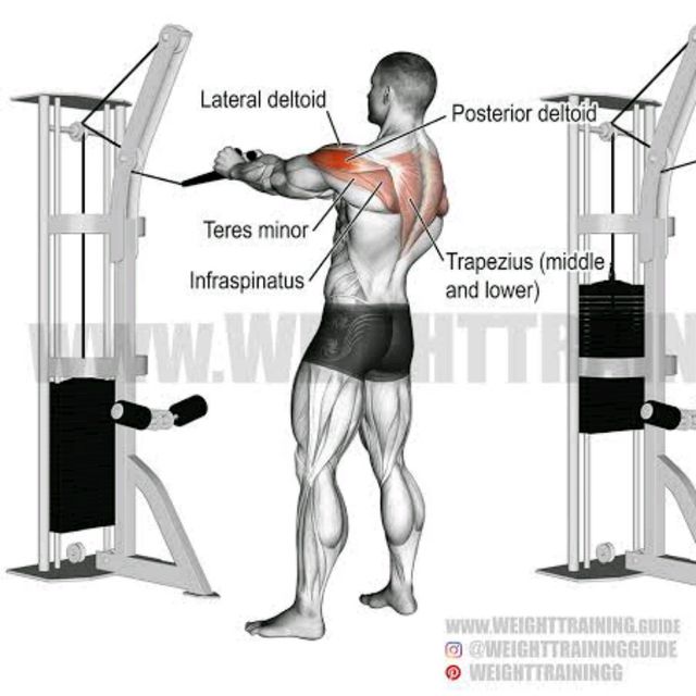 Face Pull - Exercise How-to - Workout Trainer by Skimble