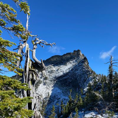 Walk Moderate 4 / Incline 5 - Exercise How-to - Workout Trainer by Skimble