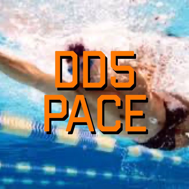 Vasa DD5 Pace Freestyle by Brian Fallon - Exercise How-to - Skimble