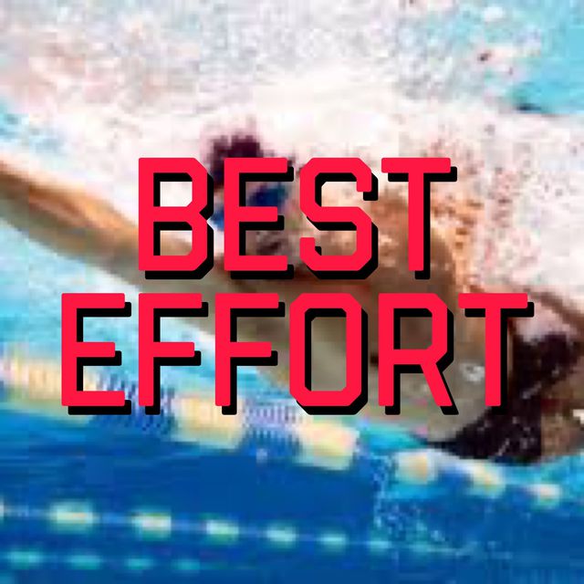 Vasa DD6 Pace Freestyle by Brian Fallon - Exercise How-to - Skimble