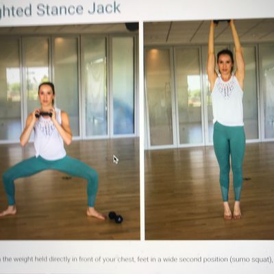 Weighted Speed Skaters by Scott Lorimer - Exercise How-to - Skimble