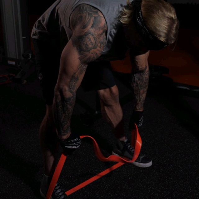 Bent Over High Rows With Bands - Exercise How-to - Workout Trainer by ...