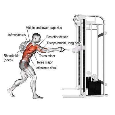 Dumbbell Armpit Row - Exercise How-to - Workout Trainer by Skimble