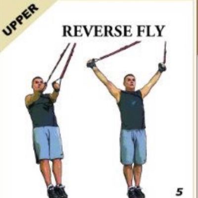 TRX Chest Fly by Abbie Stevenson - Exercise How-to - Skimble