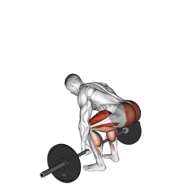Barbell Standard Deadlift - Exercise How-to - Skimble