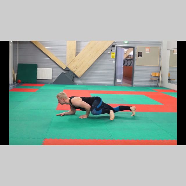 10 Different Animal Walk Exercises - Free Full Body Workout by Luna C ...