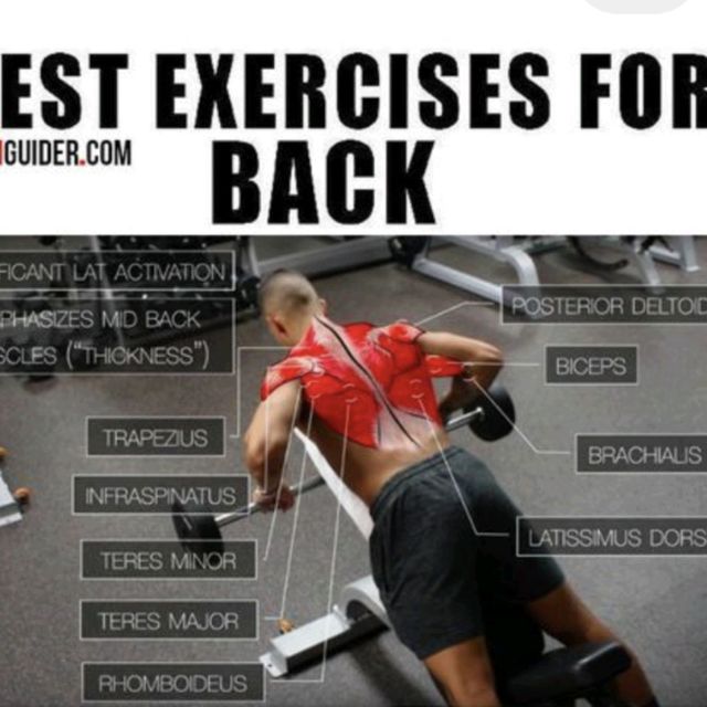 INCLINE BENCH RAISES - Exercise How-to - Workout Trainer by Skimble