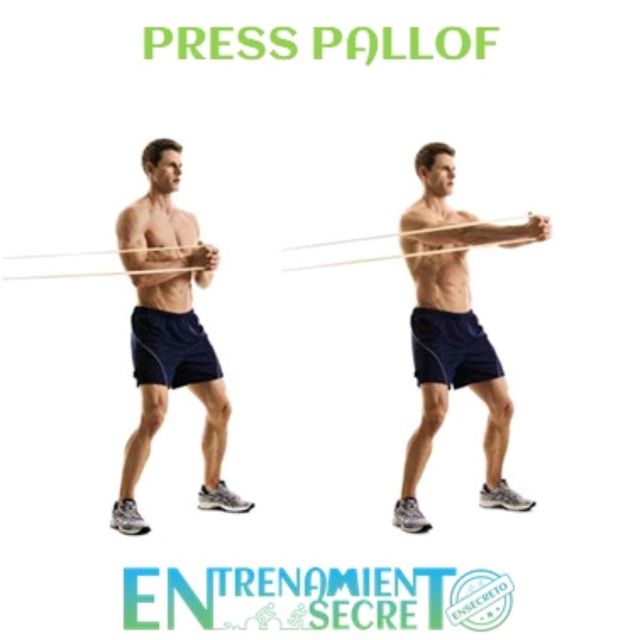 Press Paloff Derecha by Jose Carlos Moreno Perez - Ejercicio Cómo ...