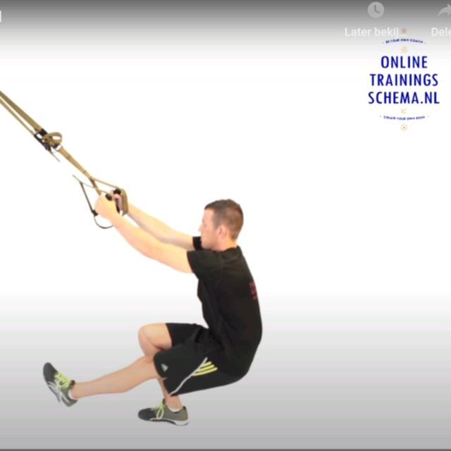 TRX Leg One Leg Squat - Exercise How-to - Workout Trainer by Skimble