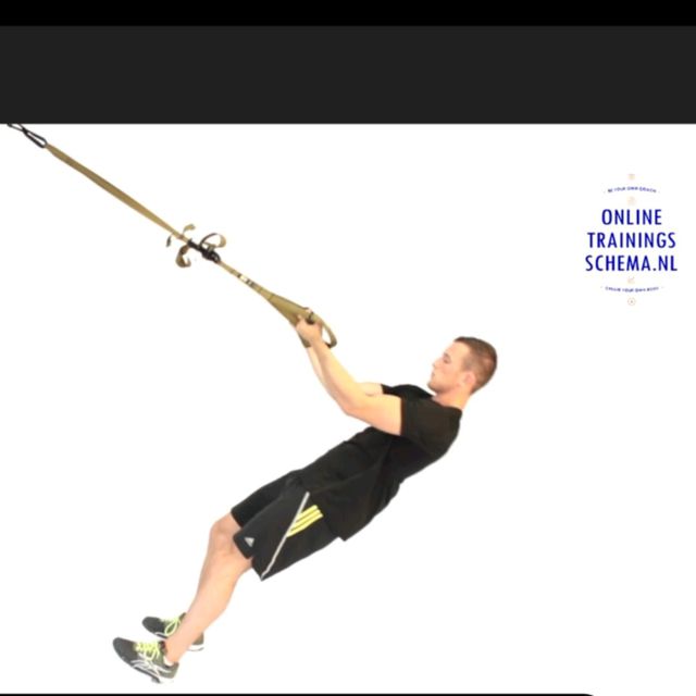 TRX Biceps Curl - Exercise How-to - Workout Trainer by Skimble