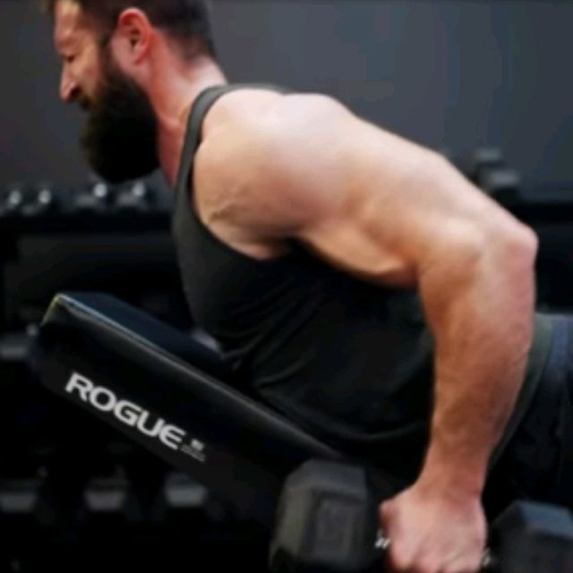 Superset: Wide Dumbell Row On Incline Bench To Side Delt Rows 90 Degree ...