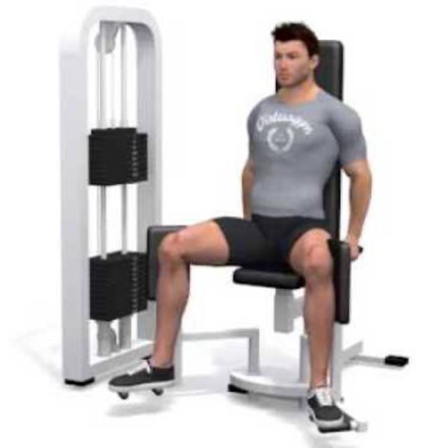 Abdutora by René Lacerda - Exercise How-to - Skimble