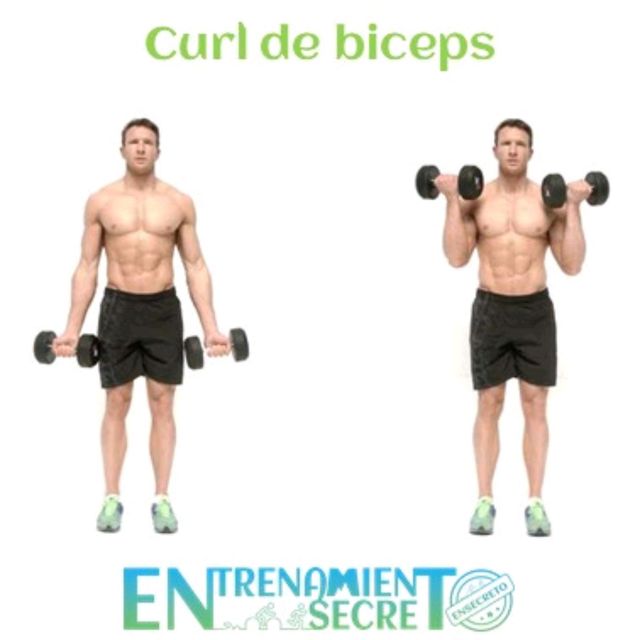 Curl De Bíceps por Jose Carlos Moreno Perez - Ejercicio Cómo hacerlo ...