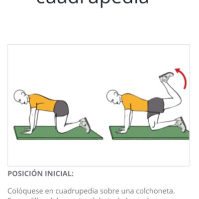 Elevación de cadera by Paula Alvarado - Ejercicio Cómo hacerlo - Skimble