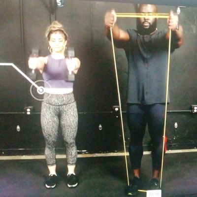 Single Arm Band Fly - Exercise How-to - Workout Trainer by Skimble