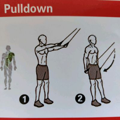 Band Chest Press - Exercise How-to - Workout Trainer by Skimble