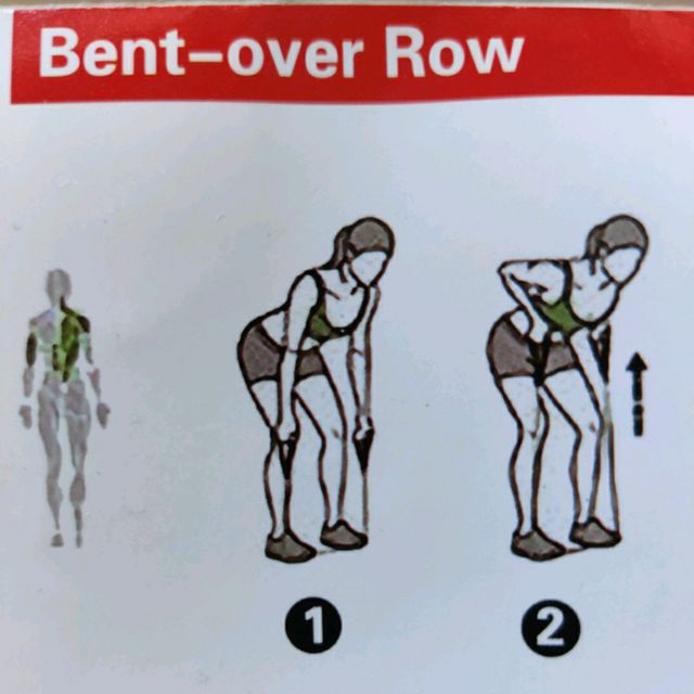 Resistance Band Bent Over Row - Exercise How-to - Workout Trainer by ...