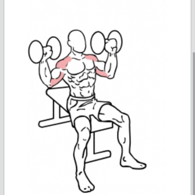 Push Day - Free Arm Workout by محمود ابولبن - Skimble