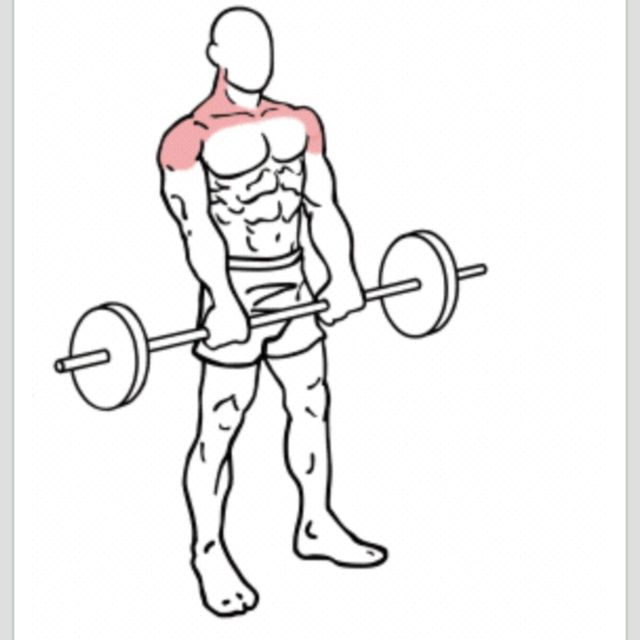 Barbell Front Raises by Titanshores _ - Exercise How-to - Skimble
