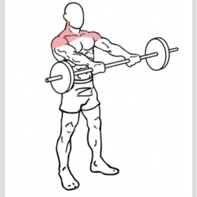 Barbell Front Raises by Titanshores _ - Exercise How-to - Skimble