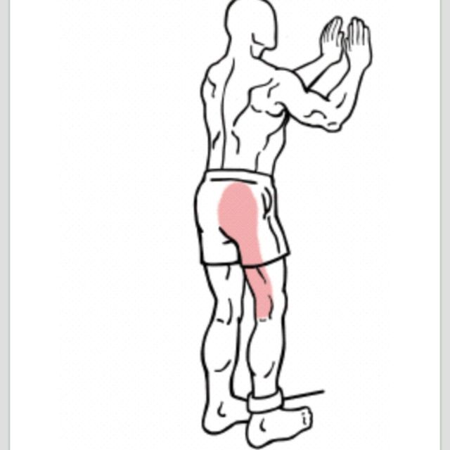 Cable Kick-backs - Exercise How-to - Workout Trainer by Skimble