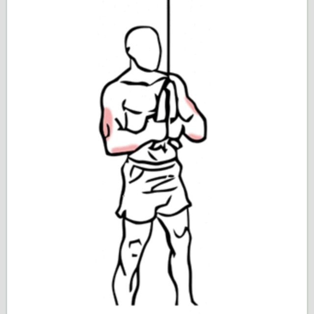 Cable Tricep Pull-downs by Titanshores _ - Exercise How-to - Skimble