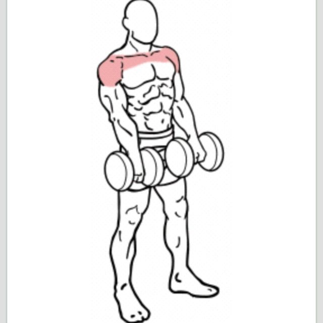 Dumbbell Front-Raises. - Exercise How-to - Workout Trainer by Skimble