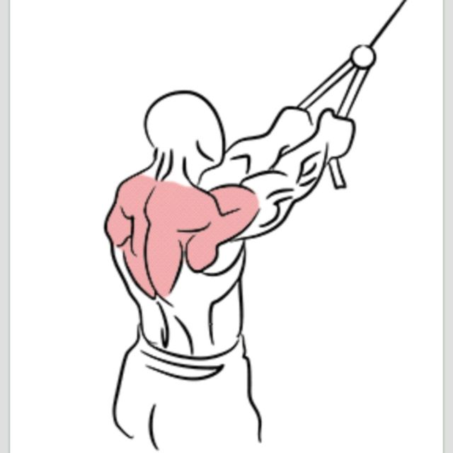 Face Pulls - Exercise How-to - Workout Trainer by Skimble