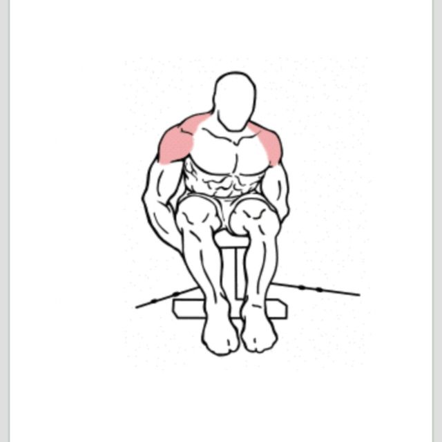 Seated Cable Lateral Raise by Titanshores _ - Exercise How-to - Skimble
