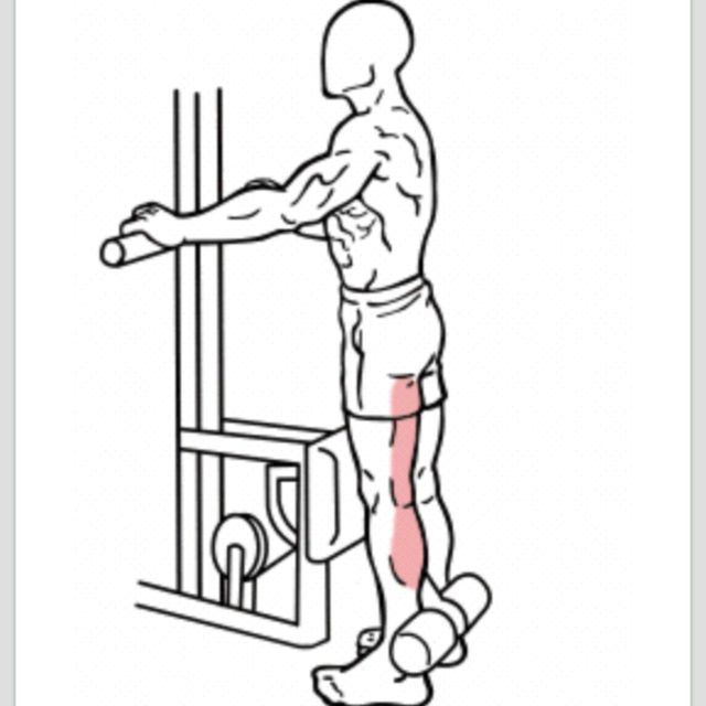 Standing Leg Curls by Titanshores _ - Exercise How-to - Skimble