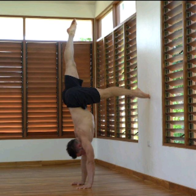 L-handstand Single Leg Isolation by Alex 🌊. - Exercise How-to - Skimble