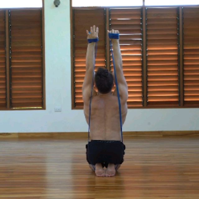 Kneeling Shoulder Shrugs With Band - Exercise How-to - Workout Trainer ...