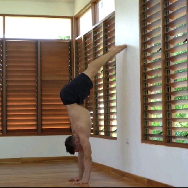 45 Handstand Leg Isolations by Alex 🌊. - Exercise How-to - Skimble