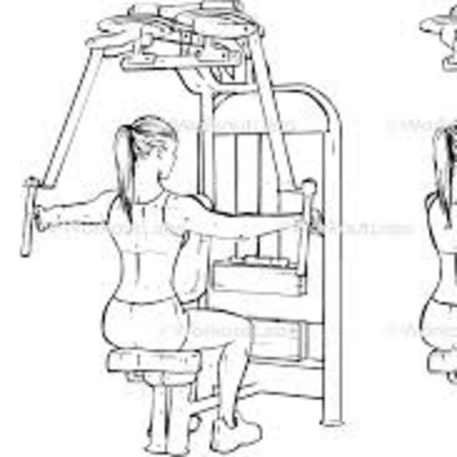 Machine Rear Delt Flyes by Elizabeth Helmick - Exercise How-to - Skimble