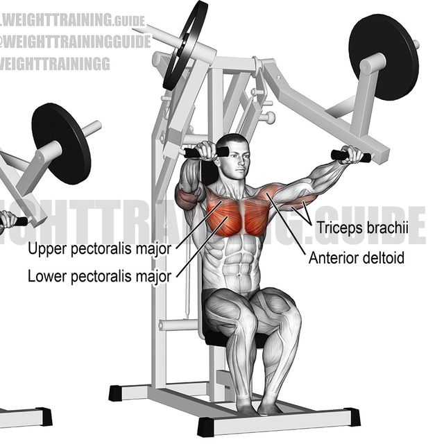 Machine Chest Press by Elizabeth Helmick - Exercise How-to - Skimble