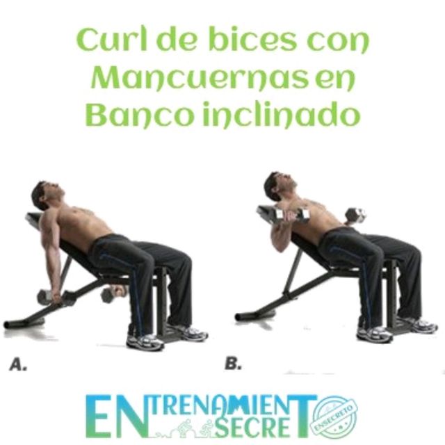 Curl De Bíceps Con Mancuernas En Banco Inclinado por Jose Carlos M ...