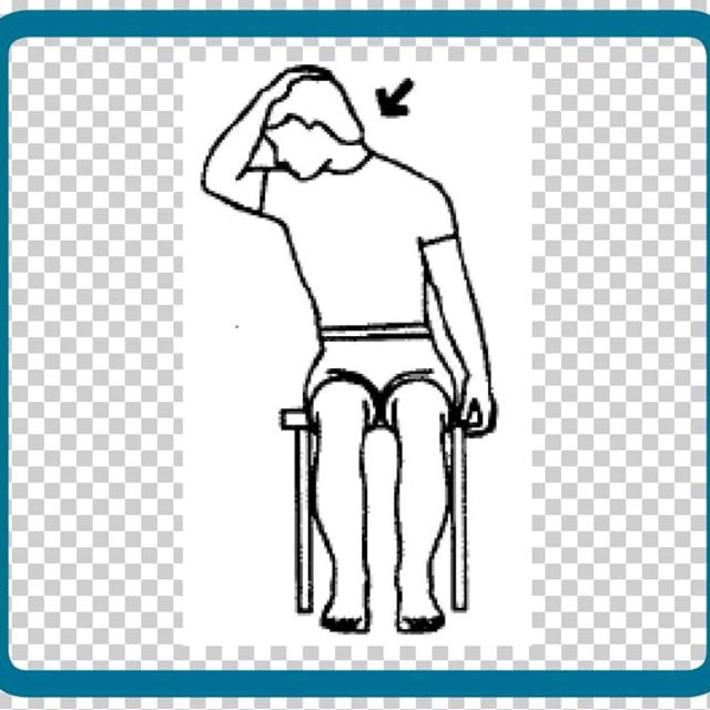 Levator Scapular Stretch Left Side by L S. - Exercise How-to - Skimble