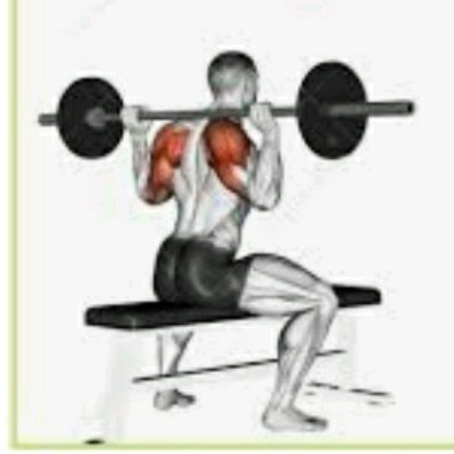 Seated Behind The Neck Press by Mariel Rodriguez - Exercise How-to ...