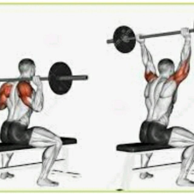 Seated Behind The Neck Press by Mariel Rodriguez - Exercise How-to ...