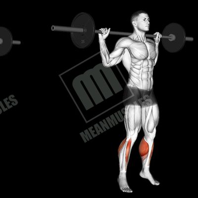 Calf Raise by Richard Terry Jr - Exercise How-to - Skimble