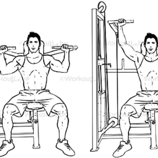 Machine Shoulder Press by Blissed Out Baker -plant Based Chef ...